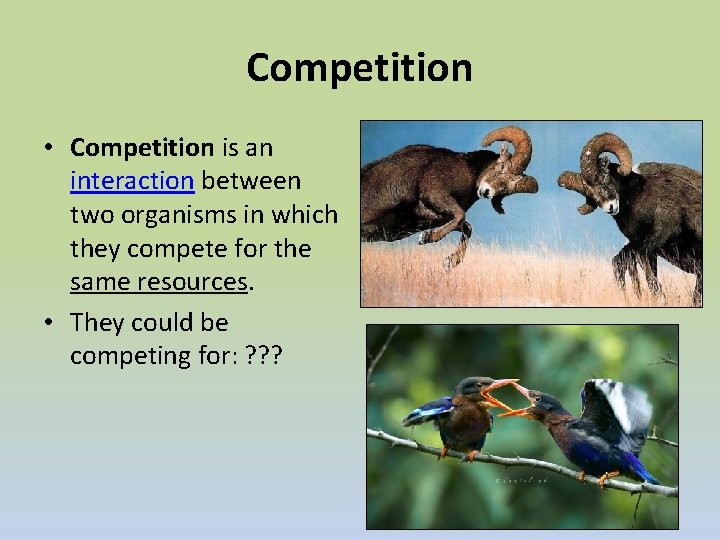 Symbiotic Relationships Habitat A habitat is an ecological