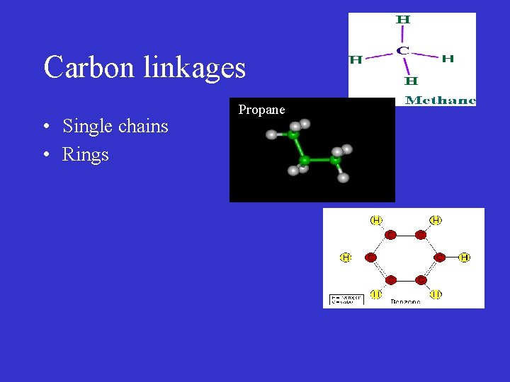 Biomolecules Carbohydrates Proteins Lipids and Nucleic acids Carbon