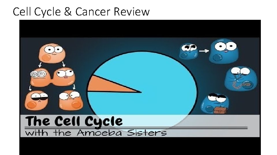 DO NOW Cell Cycle Cancer Review MITOSIS EQ