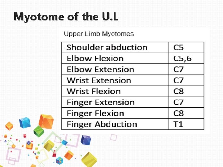 Cutaneous nerve Nerve injury of the upper limb