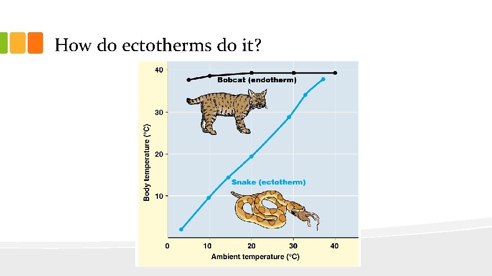 Metabolism Flow of energy through life Life is