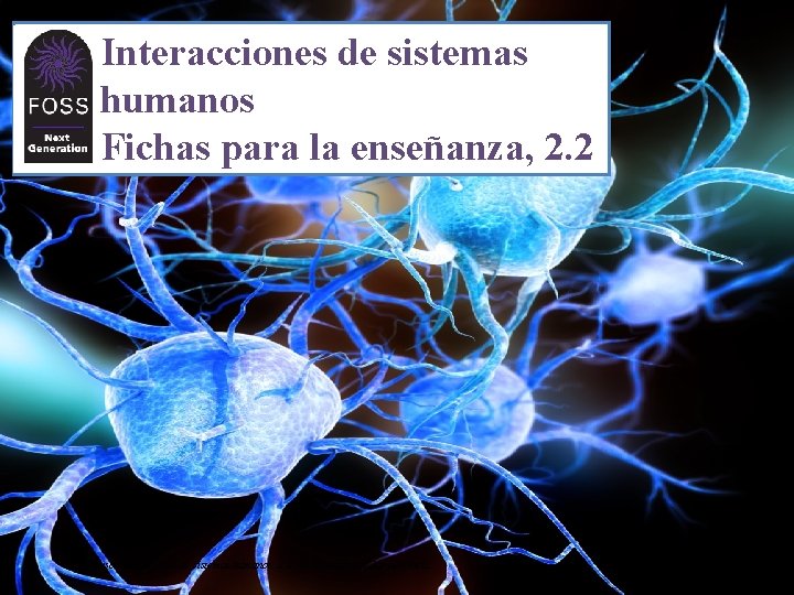 Interacciones de sistemas humanos Fichas para la enseanza