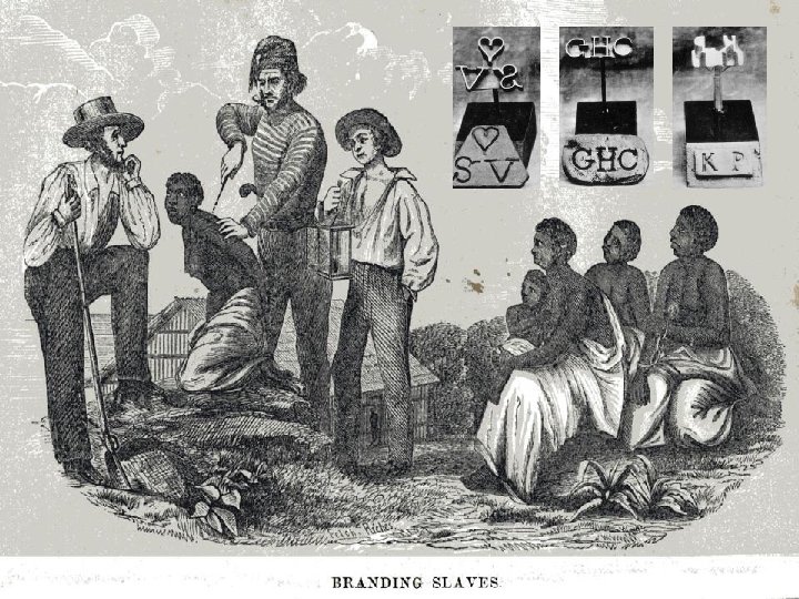 Chapter Section 25 1 Section 1 Chapter 1