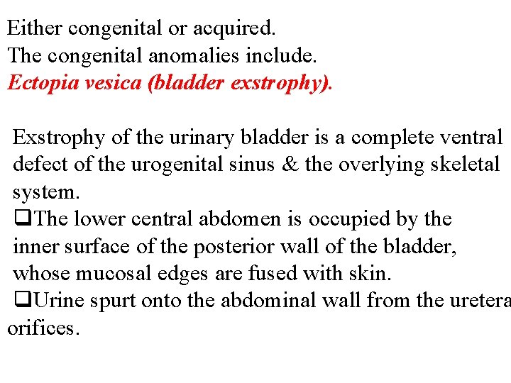Disorders of the urinary bladder Either congenital or