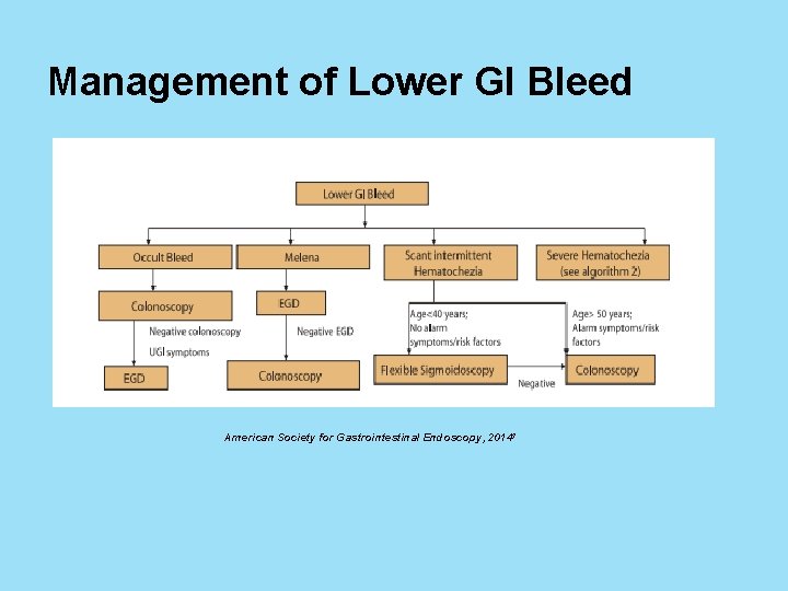 Case Report GI Bleed Gaia Di Giacomo Aramark