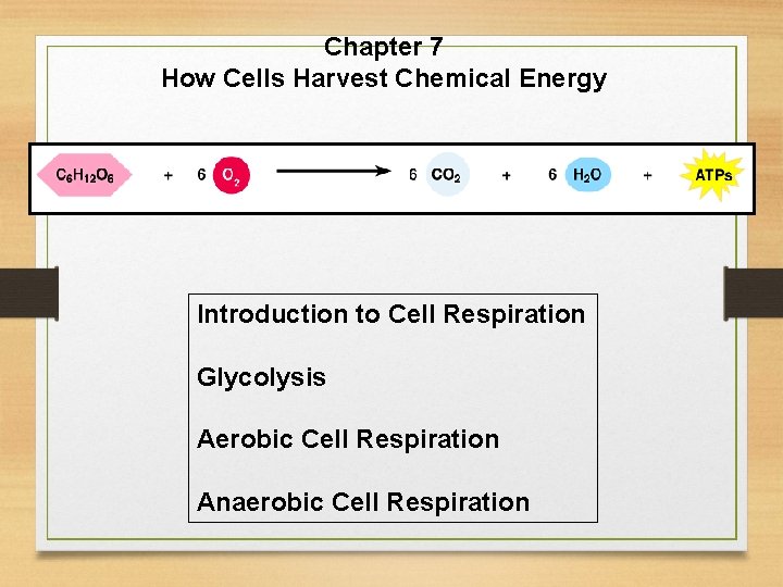 Chapter 7 How Cells Harvest Chemical Energy Introduction