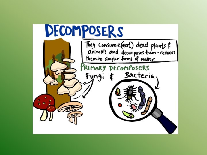 Human Population National Geographic 7 billion Popu Lations