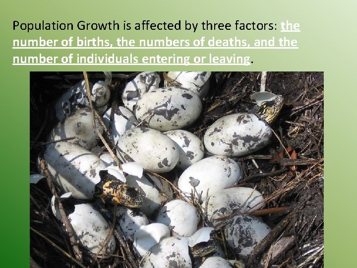 Human Population National Geographic 7 billion Popu Lations
