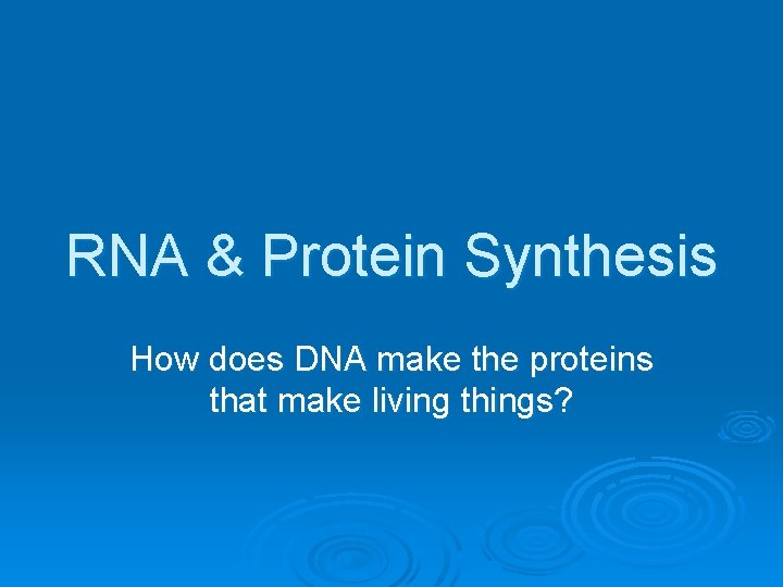 RNA Protein Synthesis How does DNA make the