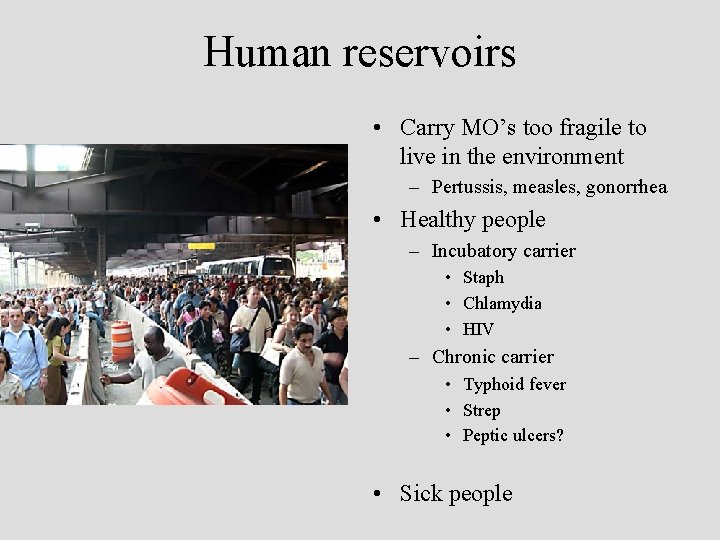 Microbes and Human Disease The seven 7 components