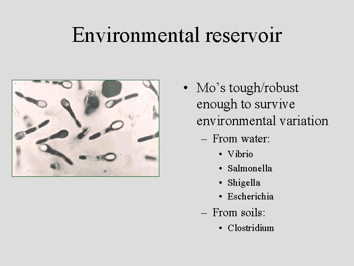 Microbes and Human Disease The seven 7 components
