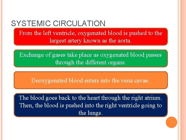 THE HEART RECAP What are the major functions