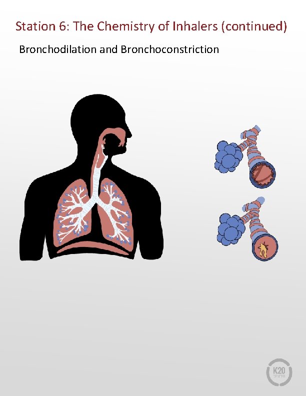 Station Cards Understanding Asthma Station 1 Build a
