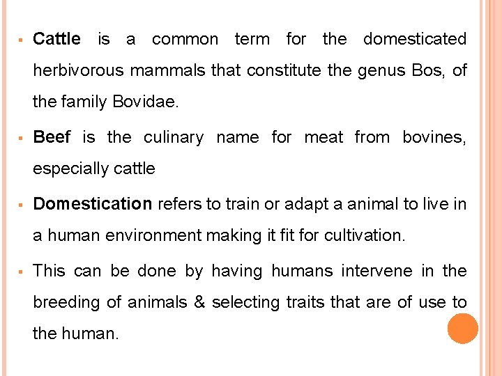 BEEF CATTLE PRODUCTION Chapter one Introduction 1 1