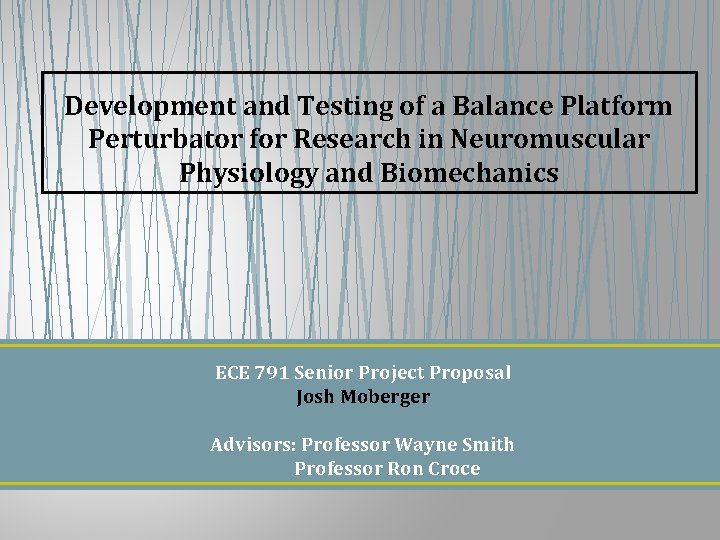 Development and Testing of a Balance Platform Perturbator