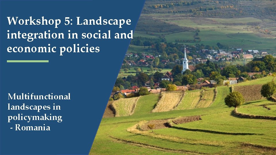 Workshop 5 Landscape integration in social and economic