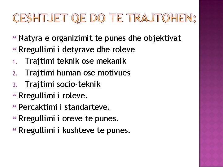 Organizimi i punes Natyra e organizimit te punes