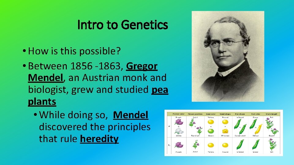 Introduction to Genetics Intro to Genetics Today scientists