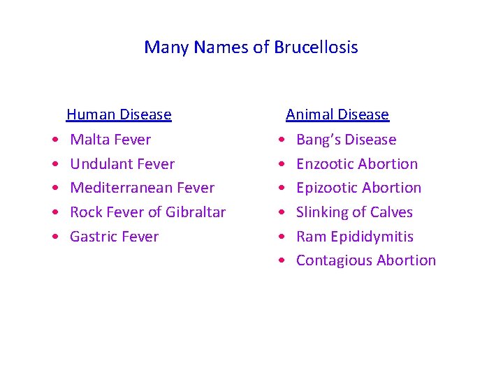 BRUCELLOSIS 1 Brucellosis is an infectious and important