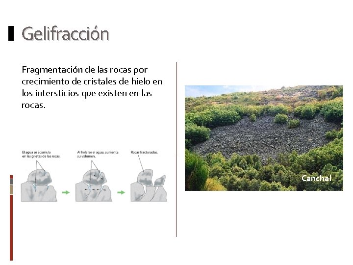 GEODINMICA EXTERNA 1 BACH Formacin y evolucin del