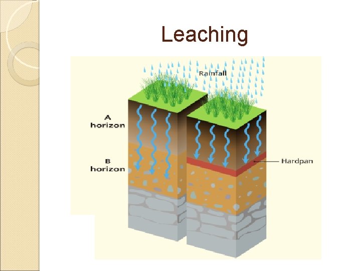 Soils Learning outcomes Soil is made up of