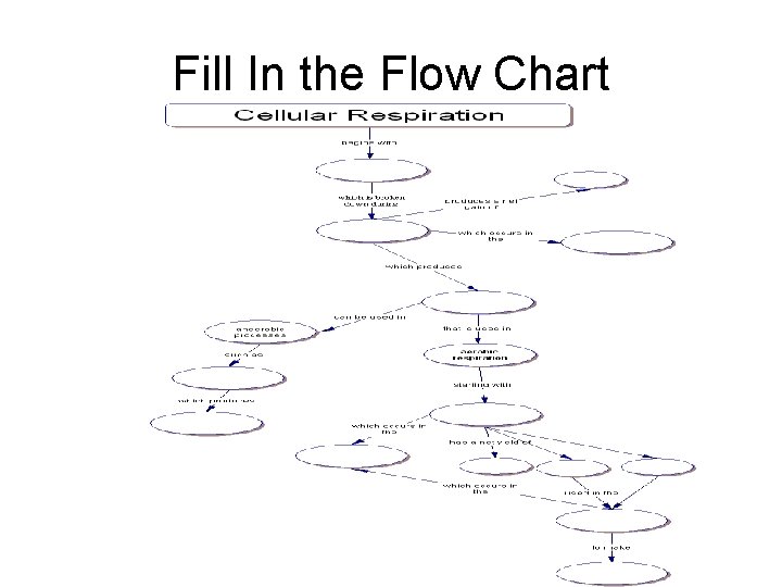 Cellular Respiration How do all living organsims make