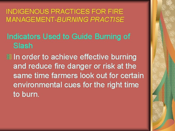 INDIGENOUS FIRE MANAGEMENT PRACTICES IN GHANA Lucy Amissah