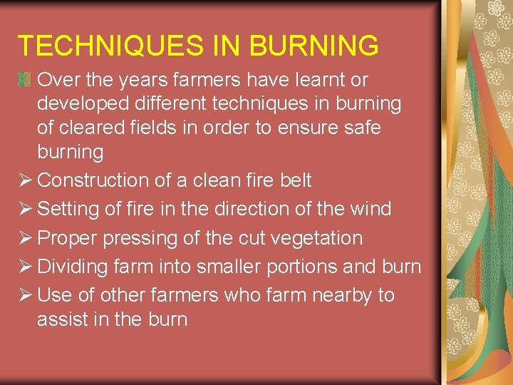 INDIGENOUS FIRE MANAGEMENT PRACTICES IN GHANA Lucy Amissah