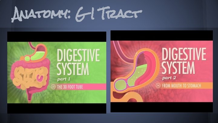 DIGESTIVE SYSTEM Functions Digestionbreakdown of food mechanical and