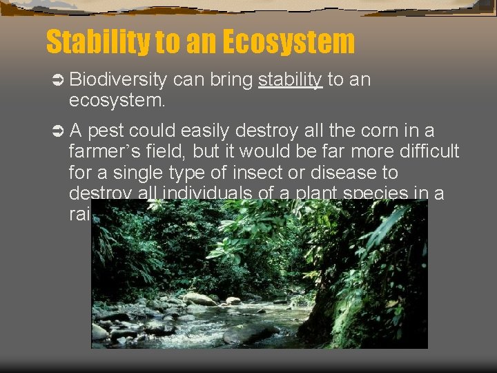 Conservation Biology Chapter 16 Biological Diversity Biodiversity refers