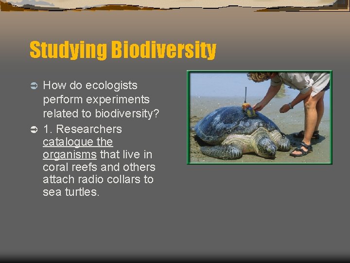 Conservation Biology Chapter 16 Biological Diversity Biodiversity refers
