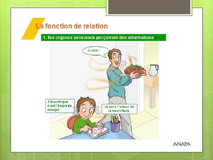 LES FONCTIONS VITALES UNIT 5 QUESTIONS Quelles sont