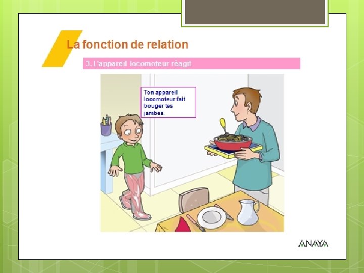 LES FONCTIONS VITALES UNIT 5 QUESTIONS Quelles sont