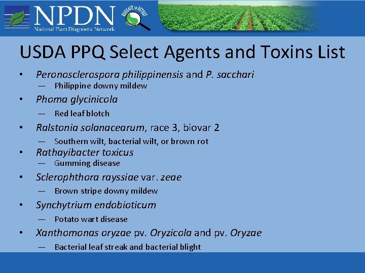 Monitoring for High Risk Pests What is a