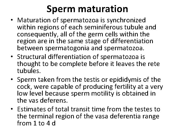 REPRODUCTION IN THE MALE ANATOMY and HORMONES Bambang