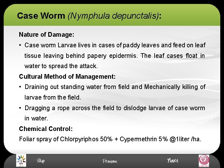 Introduction Rice is a major cereal crop grown