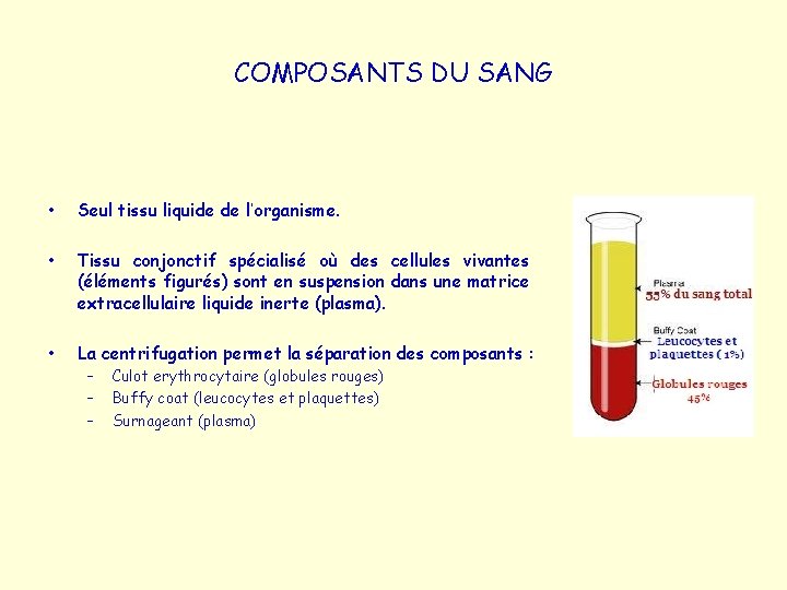 BASES ANATOMIQUES ET PHYSIOLOGIQUES DES COMPOSANTS DU SANG