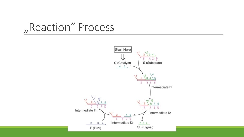 DNA Catalysed Networks BASED ON THE PAPER ENGINEERING