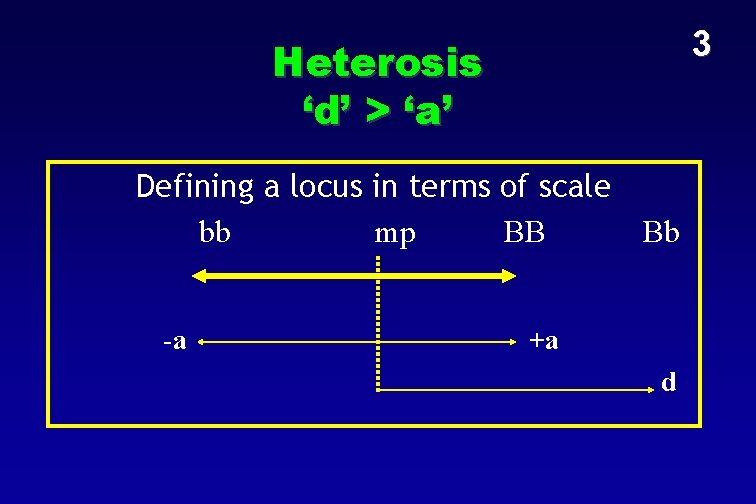 1 Heterosis Heterosis In my opinion hybrid corn