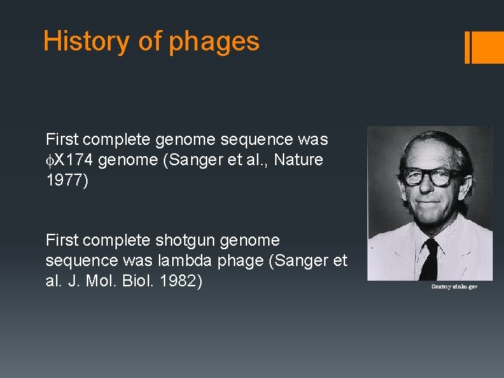Bacteriophages Discovery of phages In 1896 Ernest Hanbury