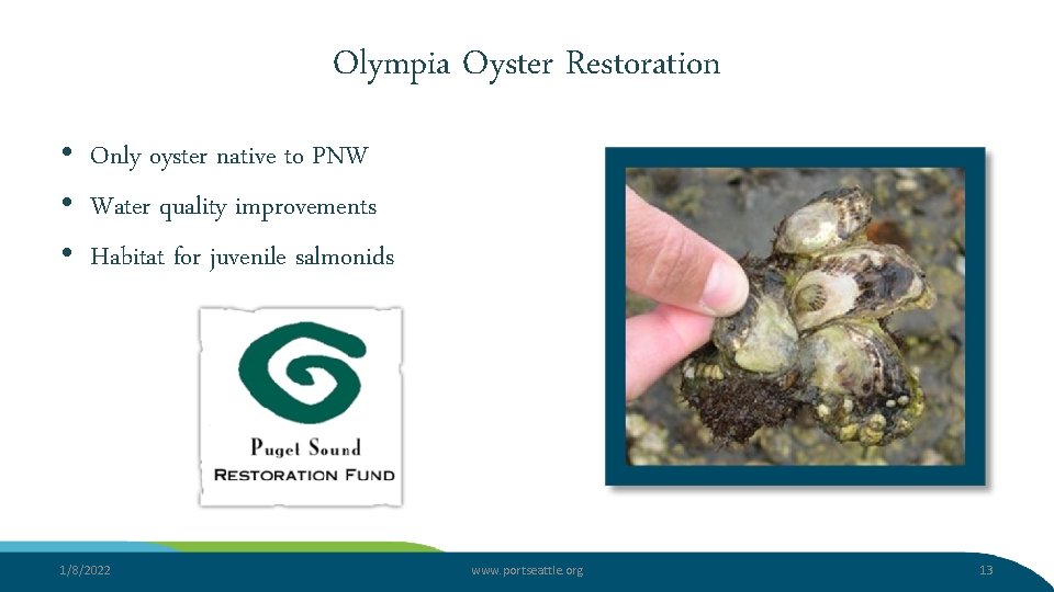 MARINE HABITAT CREATION AT THE PORT OF SEATTLE