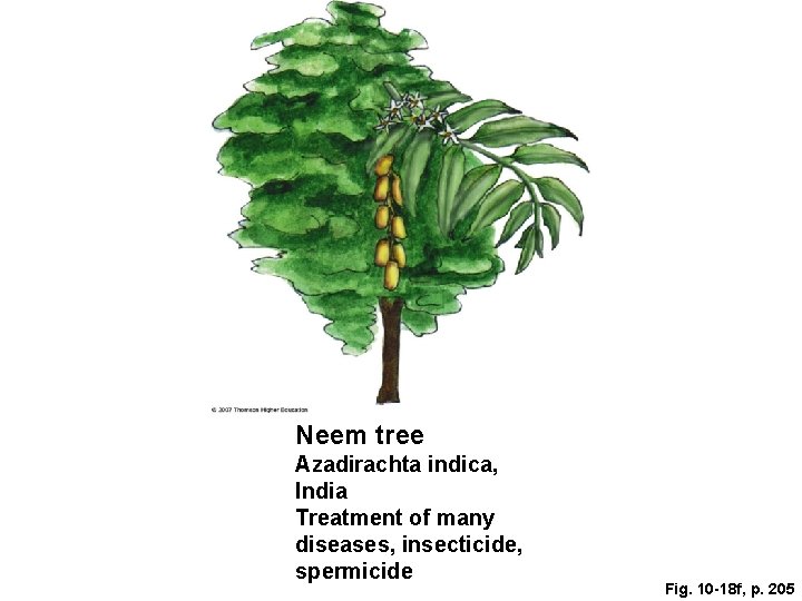 Nature Reserves Sustaining Terrestrial Biodiversity The Ecosystem Approach
