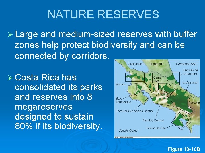 Nature Reserves Sustaining Terrestrial Biodiversity The Ecosystem Approach