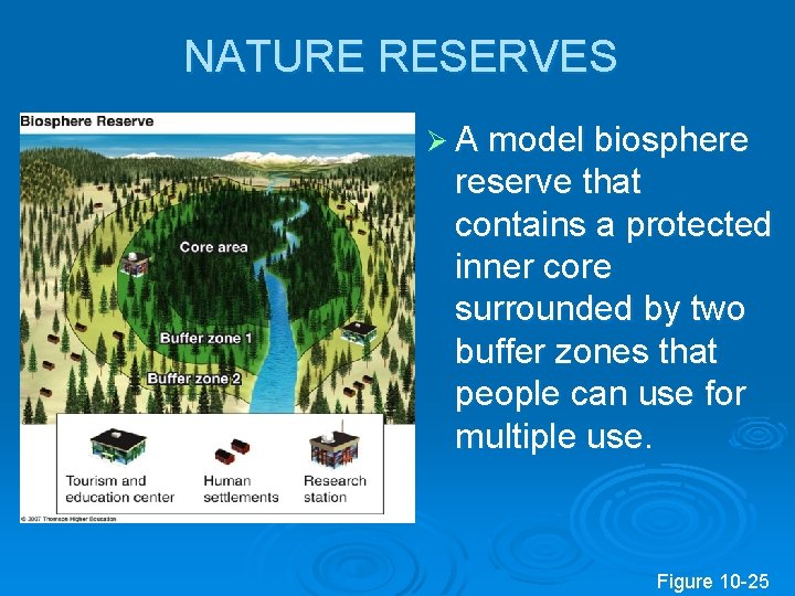 Nature Reserves Sustaining Terrestrial Biodiversity The Ecosystem Approach
