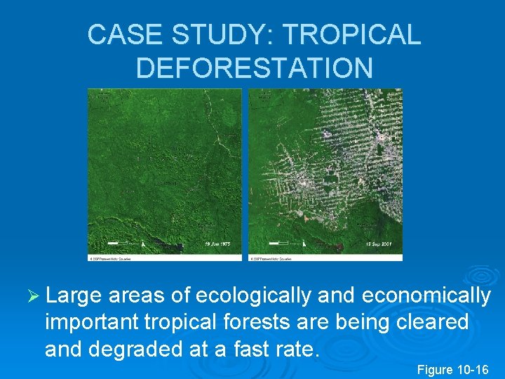Nature Reserves Sustaining Terrestrial Biodiversity The Ecosystem Approach