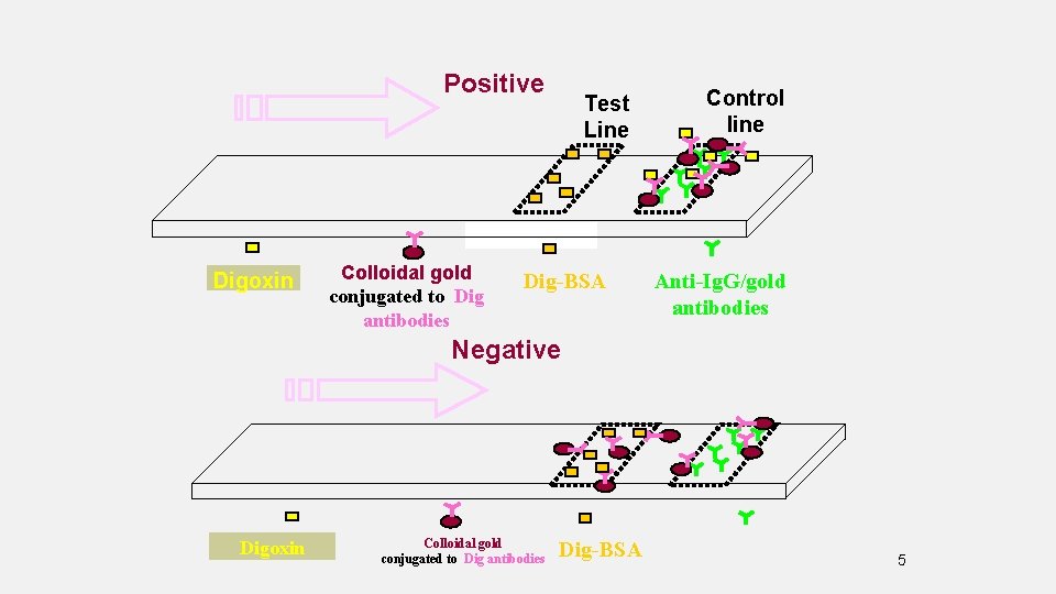 Immunoassay Results Qualitative Single point calibration at a
