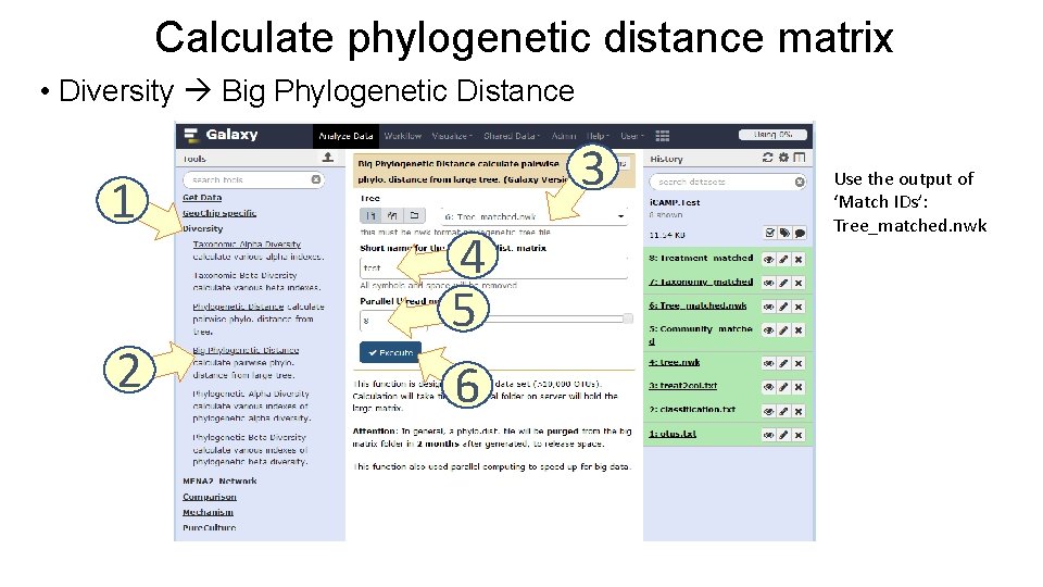 IEGSAP Tutorial Infer Community Assembly Mechanisms by Phylogenetic