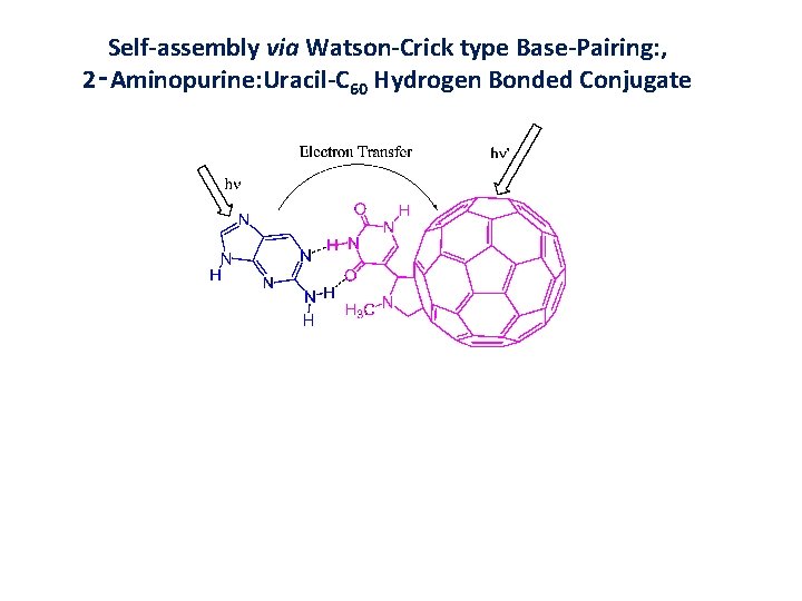 Research by Design ORGANIC M AT SC ERI