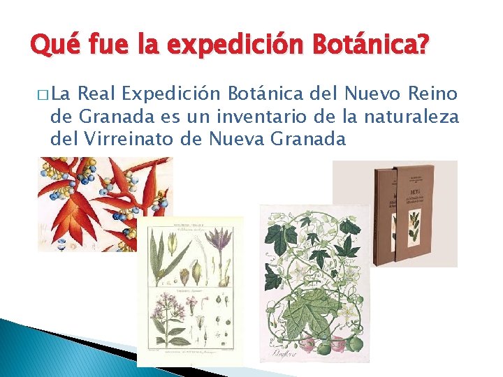 CAUSAS INTERNAS DE LA INDEPENDENCIA LA EXPEDICION BOTANICA