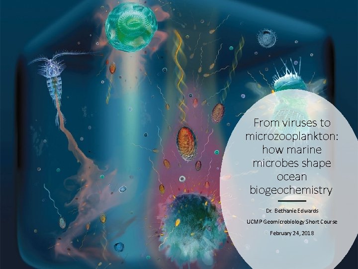 From viruses to microzooplankton how marine microbes shape